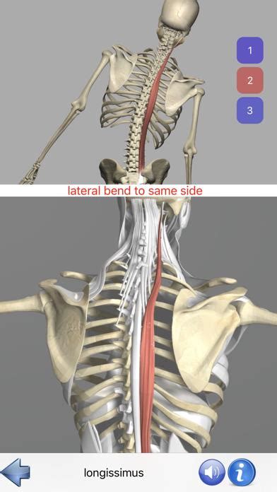 Visual Anatomy Ios Free Download Without Jailbreak Panda Helper