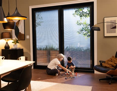 Blinds Glass Applications Odl
