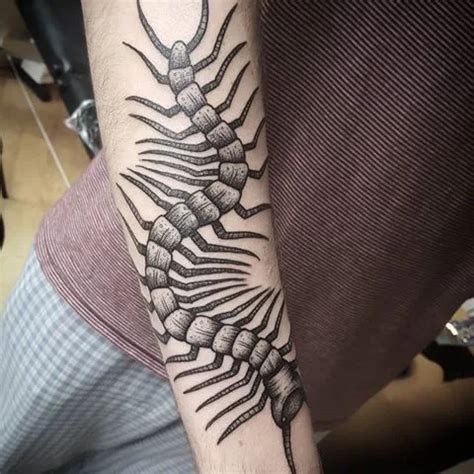 Tatuajes De Cienpiés Ideas Y Su Significado