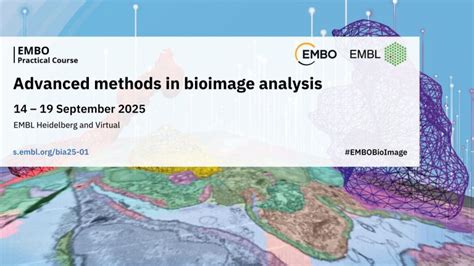 Advanced Methods In Bioimage Analysis Course And Conference Office