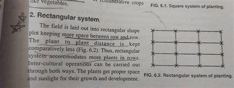 Fig 61 Square System Of Planting 2 Rectangular System The Field Is L Fig 61 Square System Of Planting 2 Rectangular System The Field Is L