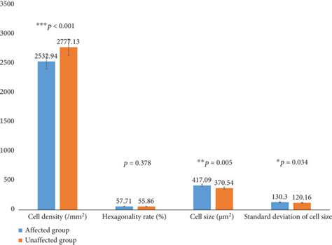 Corneal Endothelial Cell Analysis Download Scientific Diagram