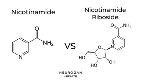 Nicotinamide Vs Nicotinamide Riboside Differences Effects