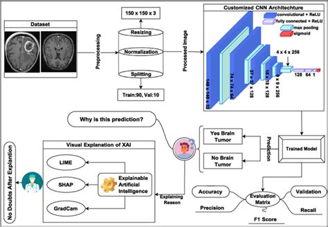 Utilizing Customized Cnn For Brain Tumor Prediction With Explainable Ai