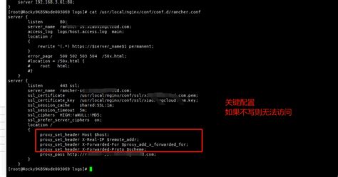 怎么使用nginx反向代理rancher Minseo 博客园