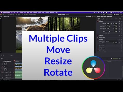 Move Resize And Play Multiple Clips Are Once In Davinci Resolve YouTube