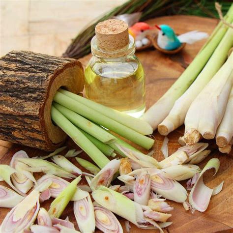 10 Manfaat Serai Untuk Kesehatan Dan Efek Sampingnya Bagi Tubuh