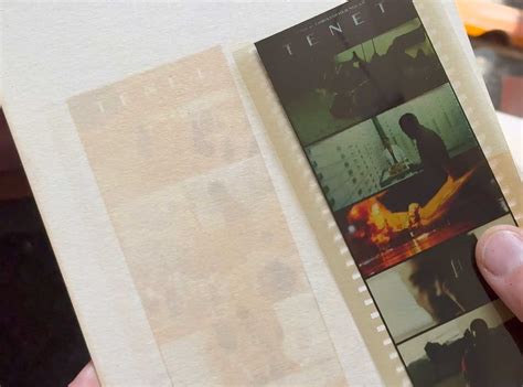 Anthotype Printing 3 Examples After 30 Days Carleton Torpin