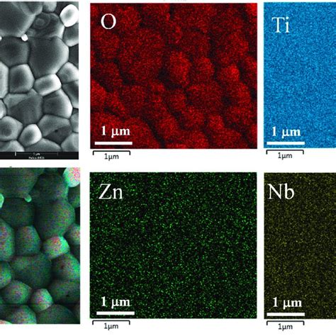 The Elements Mapping Of 2 5 Znto Ceramic The Zn Nb Ti And O Dopants