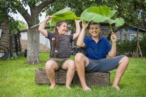 En Verano Un Hermano Y Una Hermana Se Sientan En Un Tronco Del Pueblo