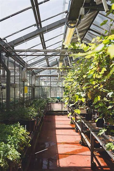 Greenhouse Porn GreenhousePorn Twitter