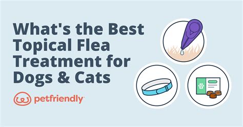 Does Topical Flea Treatment Harm Cats At Jason Criner Blog