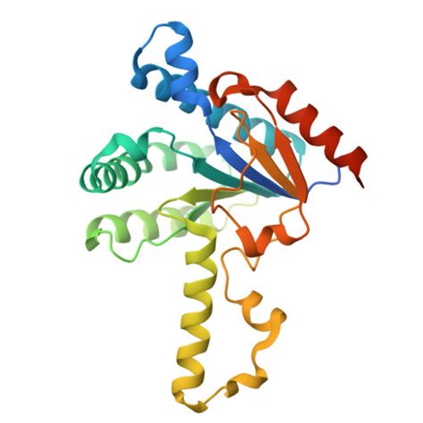 Rcsb Pdb 2e98 E Coli Undecaprenyl Pyrophosphate Synthase In Complex