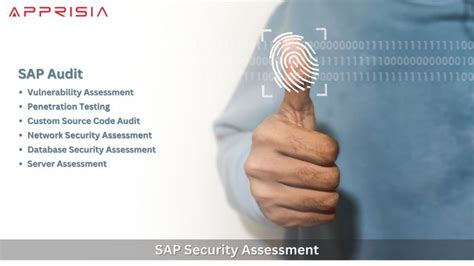Apprisia Consulting Llp On Linkedin Sap Security Assessment