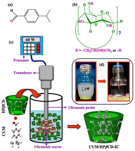 Cyclodextrin Active Natural Compounds In Food Applications A Review Of Antibacterial Activity Pmc