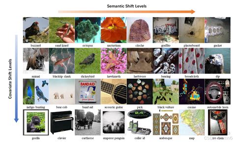 202412月月报： 三篇论文阅读position Measure Dataset Diversity Don鈥檛 Just Cl