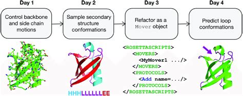Overview Of The Build Your Own Rosetta Protocol Lab During The Download Scientific Diagram