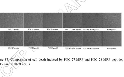 Figure S2 Effects Of Pnc 27 Pnc 28 Pnc 29 Pnc 27 Mrp Pnc 28 Mrp