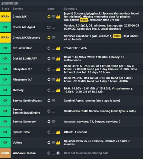 Problems On Only One Windows Server With Baked Agent With Windows License Check Plugin