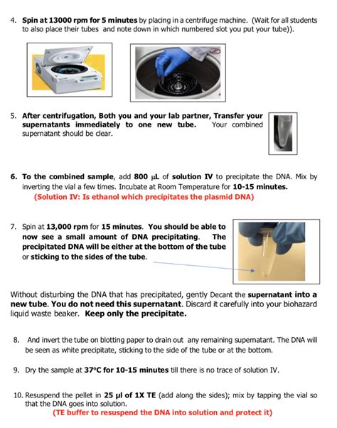 Solved Experimental Procedure Objectives • Isolate Dna From