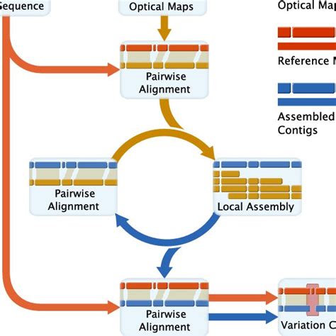 Summary Of Structural Variants Discerned By Optical Mapping Download