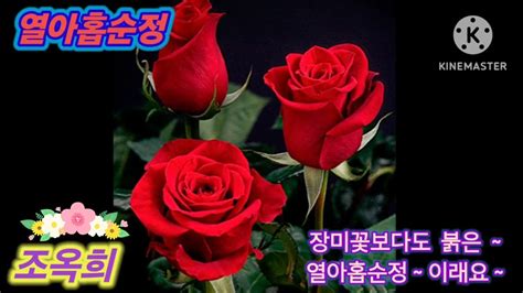 🌹조옥희🌹열아홉순정🌹 원곡 이미자🌸가사첨부 Youtube
