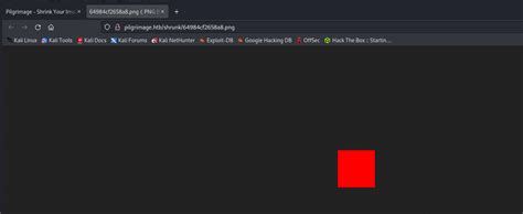 Pilgrimage Someb Dy S Blog
