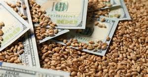 Retenciones 0 Al Campo Cómo Funcionará La Eliminación Temporal De Los