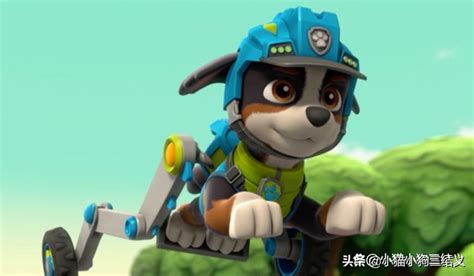 汪汪队六只小狗名字 汪汪队六只小狗名字 2345实用查询