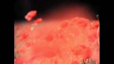 Big Aspirations Usa 1975 Maria Lynn Irene Wendlin Maria Milf Eporner