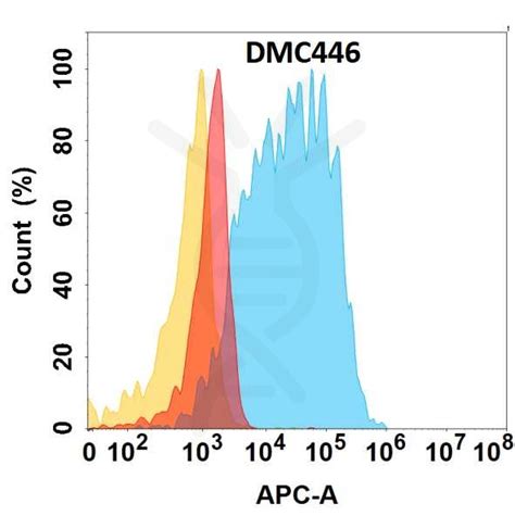 Anti Cd117 Antibodydmc446 Igg1 Chimeric Mab 专注肿瘤免疫