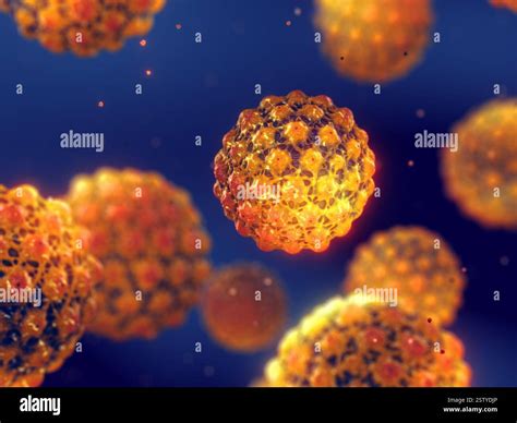 Human Papillomavirus Hpv Is A Common Sexually Transmitted Infection