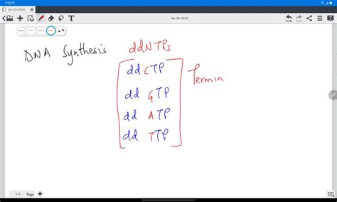 Solved When Setting Up A Dna Sequencing Reaction For Automated Dideoxy Dna Sequencing We Use A