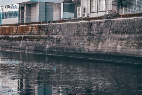 Modern Glass Building Reflecting Cityscape On Water Nov 27 2023 Editorial Stock Image Image Of
