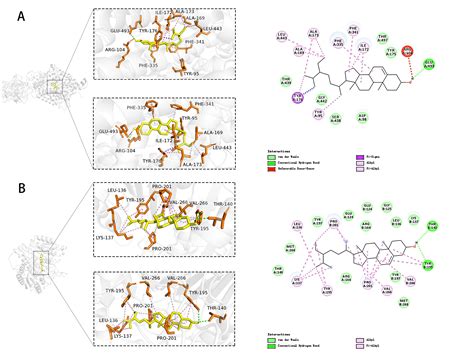何以至此 的想法 ★分子对接代做★（auto dock）（pymol）… 知乎