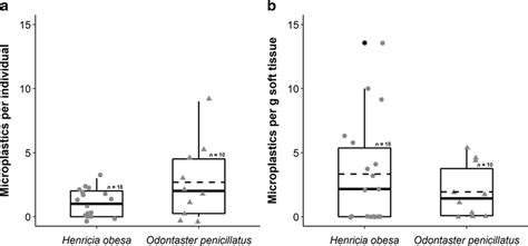 Abundance Of Microplastics A Per Individual And B Per Gram Of Soft
