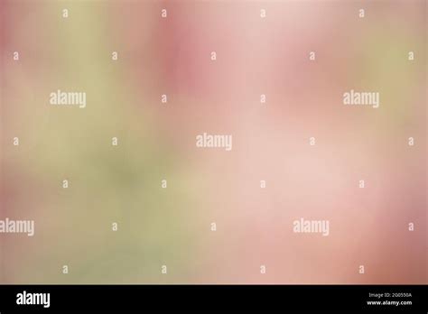 Gradient Multi Colors Background For Wallpapers And Graphic Designs