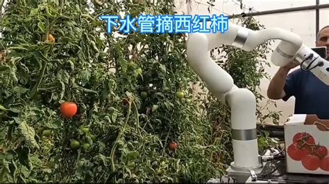 第12集 国外的案例，你说他能收回成本么？ 电子发烧友网