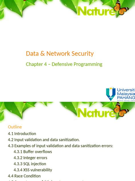 Chapter 4 Defensive Programming Pdf Computer Architecture