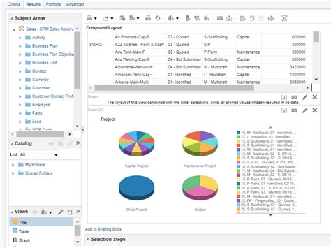 BI Business Intelligence Reports Analytics Oracle Cloud