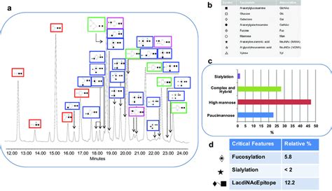 The N Glycome Of The Stratum Corneum A Uplc Chromatogram Showing 34 Download Scientific