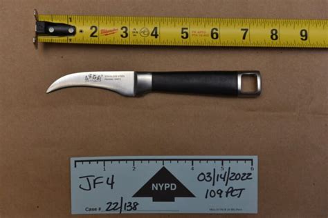 New York Woman Sentenced In Stabbing Death Of Chinese Dissident Radio