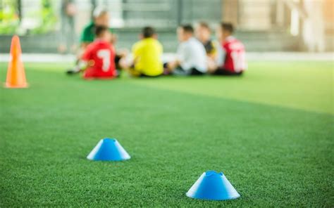 Guard Lawns From Pythium On Grass Artificial Grass In Santa Rosa CA