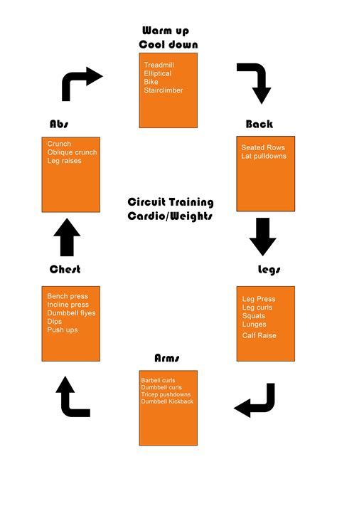 Cardio Circuit Training Exercises Wiring Flow Schema