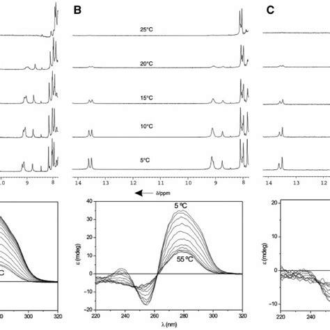 The D NMR Spectra Of D In D O At C And Different Oligonucleotide Download Scientific