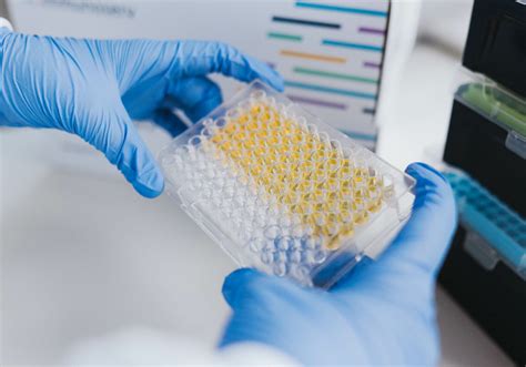Immuno T™ Laboratory Test Kit Immunoserv
