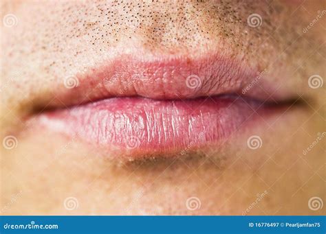 Boca Do Homem Imagem De Stock Imagem De Ossos Fragmento 16776497