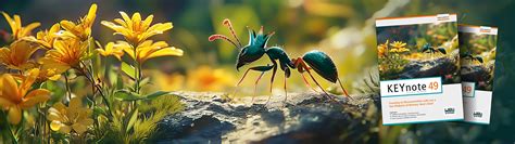 Wibu Systems Software Protection Software Licensing Seguridad De