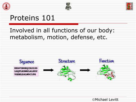Ppt Algorithms Exploiting The Chain Structure Of Proteins Powerpoint