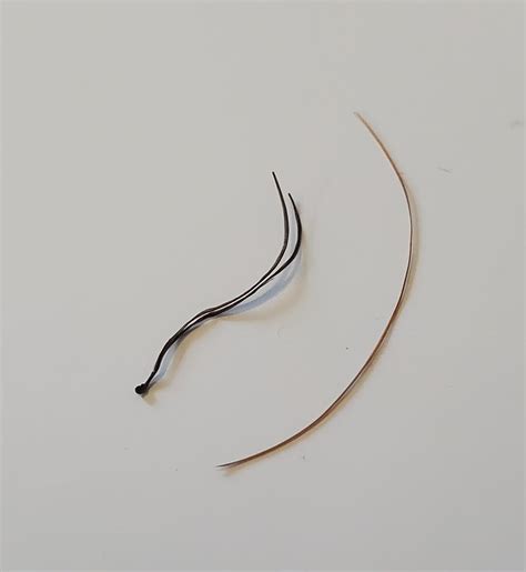 Both Of These Are Hairs From My Beard The One On The Left Is A Result